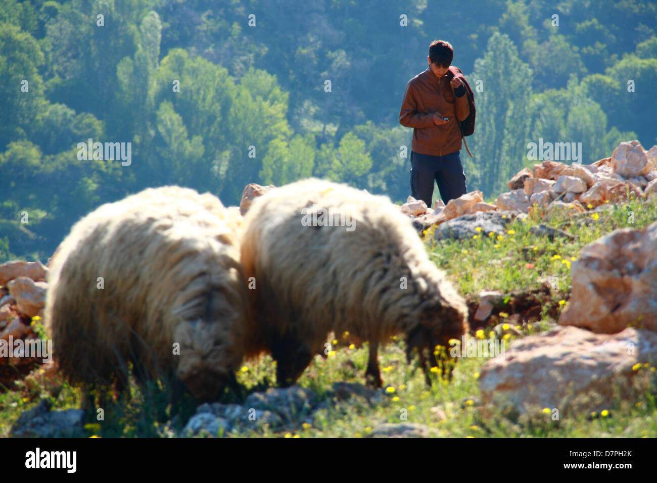The sheepman hi-res stock photography and images - Alamy