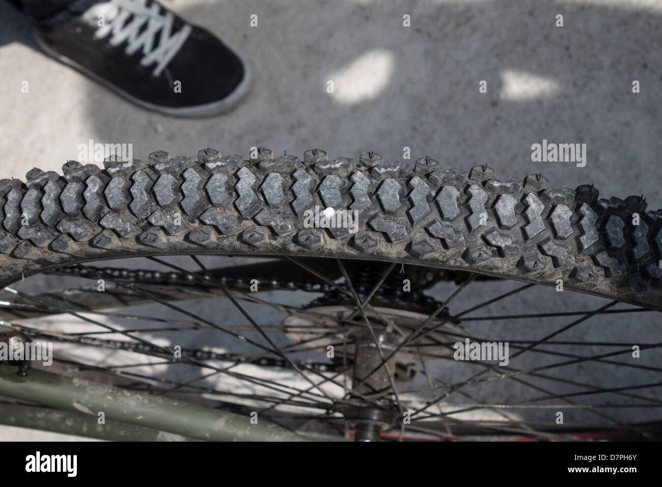 Top view of a bicycle rear wheel Stock Photo - Alamy