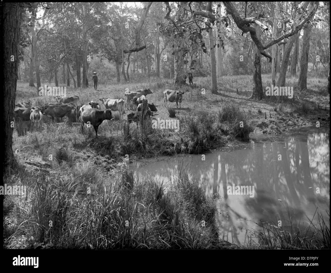 This artwork, titled 'A Watering Place,' is held at the Powerhouse ...