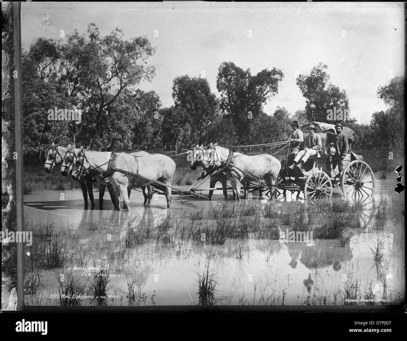 This historic photograph shows a horsedrawn mail coach crossing ...