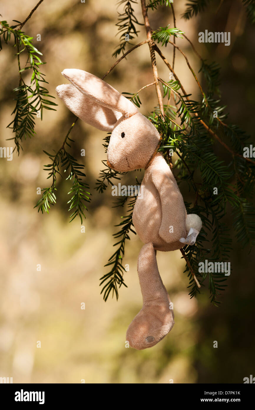 Peter Rabbit Toys High Resolution Stock Photography and Images - Alamy