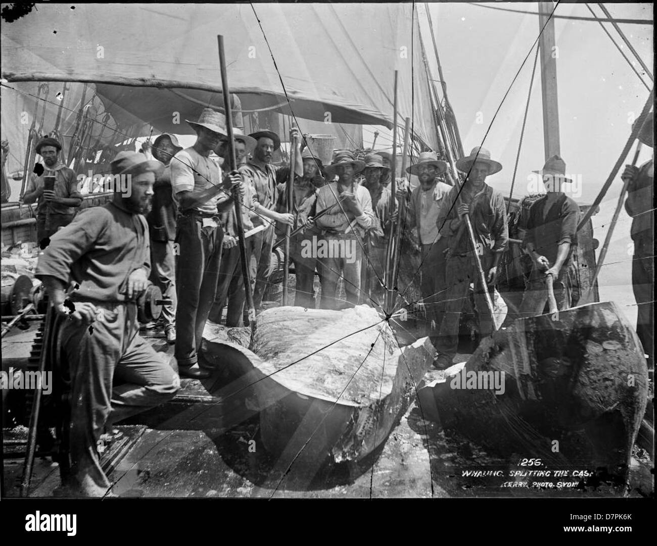 This historical illustration from the Powerhouse Museum depicts the ...