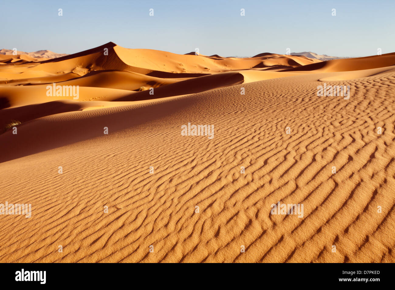 Erg Chebbi: Sahara Texture Stock Photo - Alamy