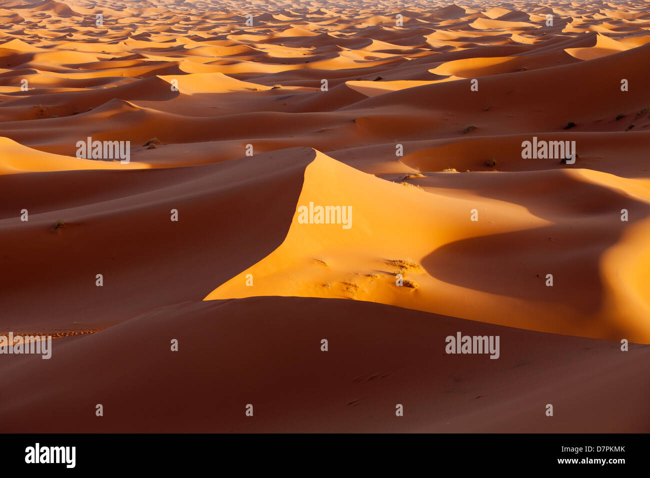 Erg Chebbi: Sunset Stock Photo - Alamy