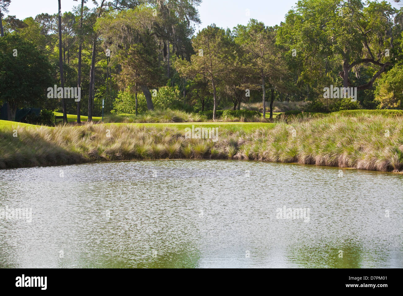 The Stadium course of TPC Sawgrass is pictured in Ponte Vedra Beach ...