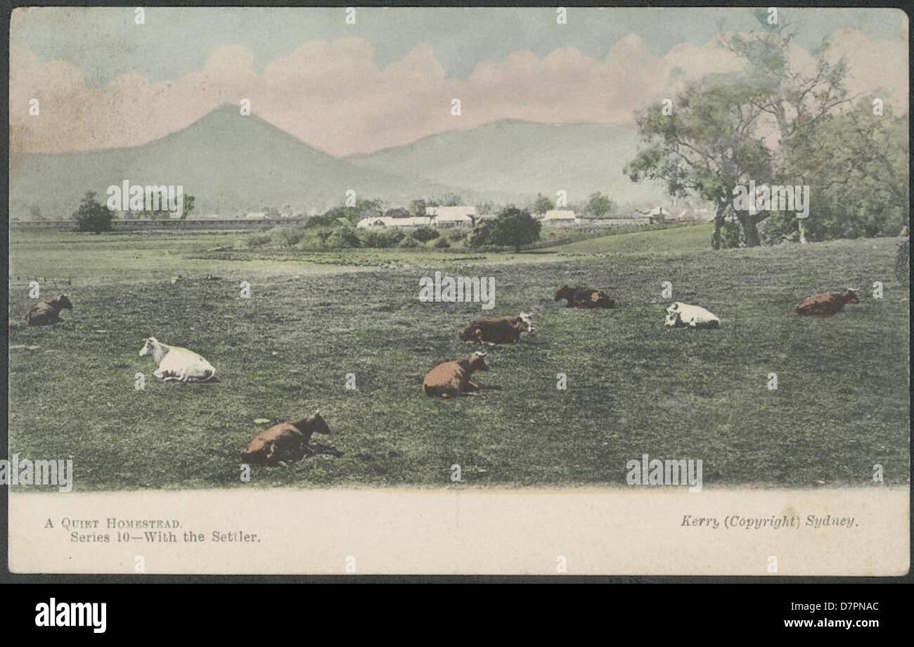 This image, titled 'A Quiet Homestead,' from 1906, showcases rural life ...