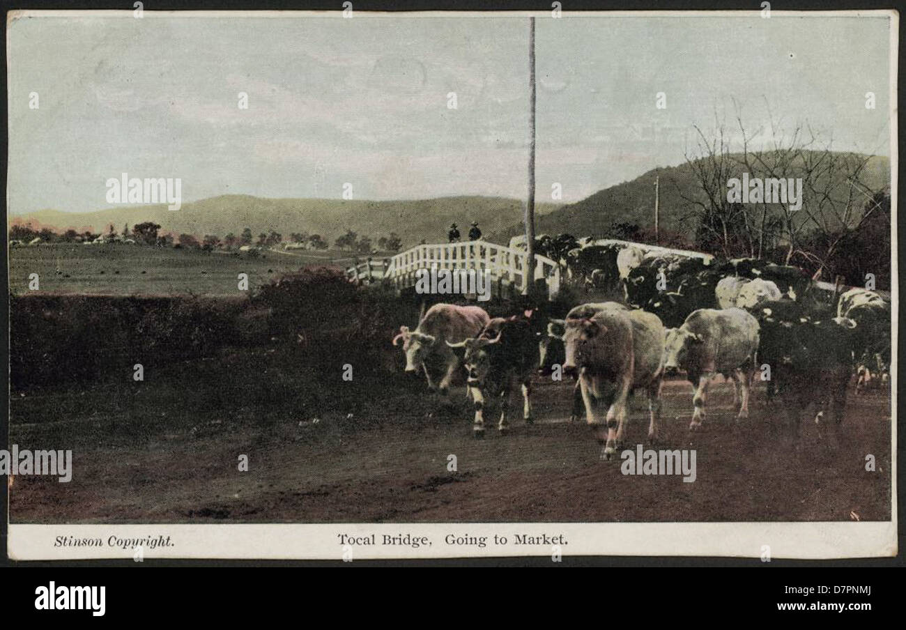 Tocal hi-res stock photography and images - Alamy