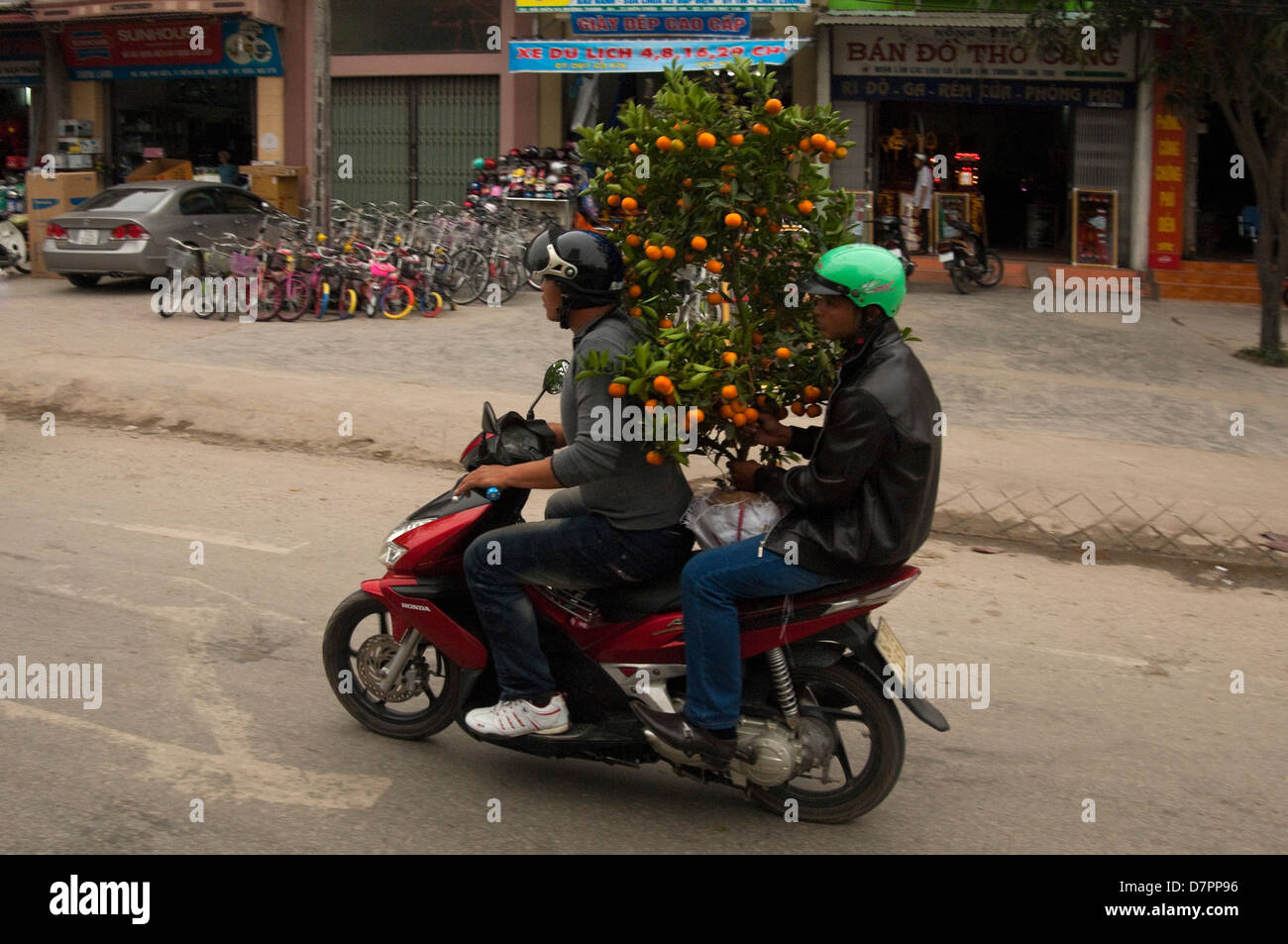 Vietnam tet tree hi-res stock photography and images - Alamy