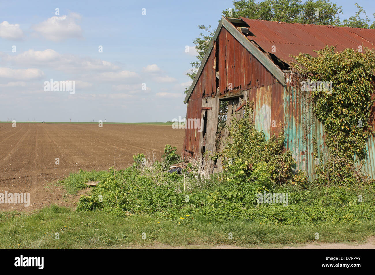 Overgrown barn hi-res stock photography and images - Alamy