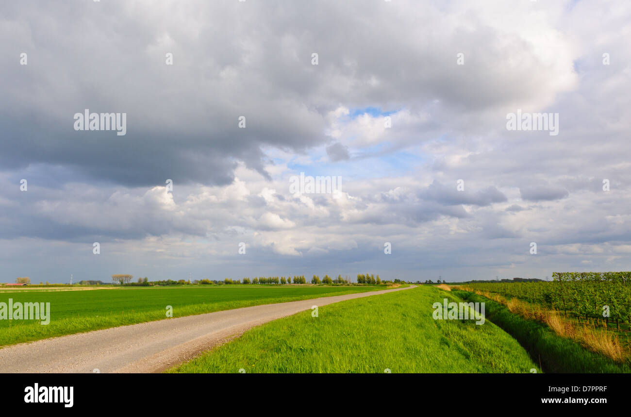 Agriculture in zeeland hi-res stock photography and images - Alamy