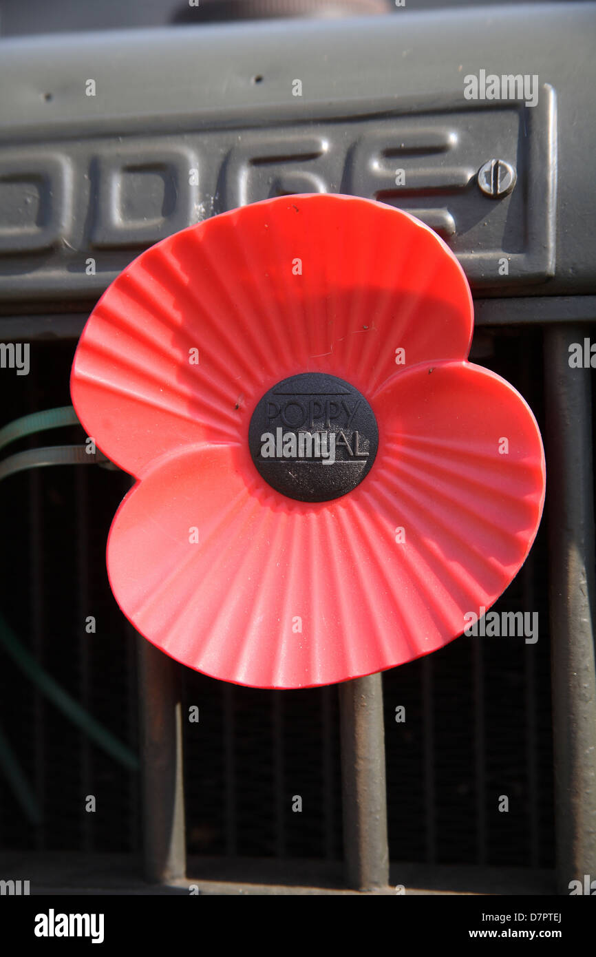 Royal legion poppy hi-res stock photography and images - Alamy