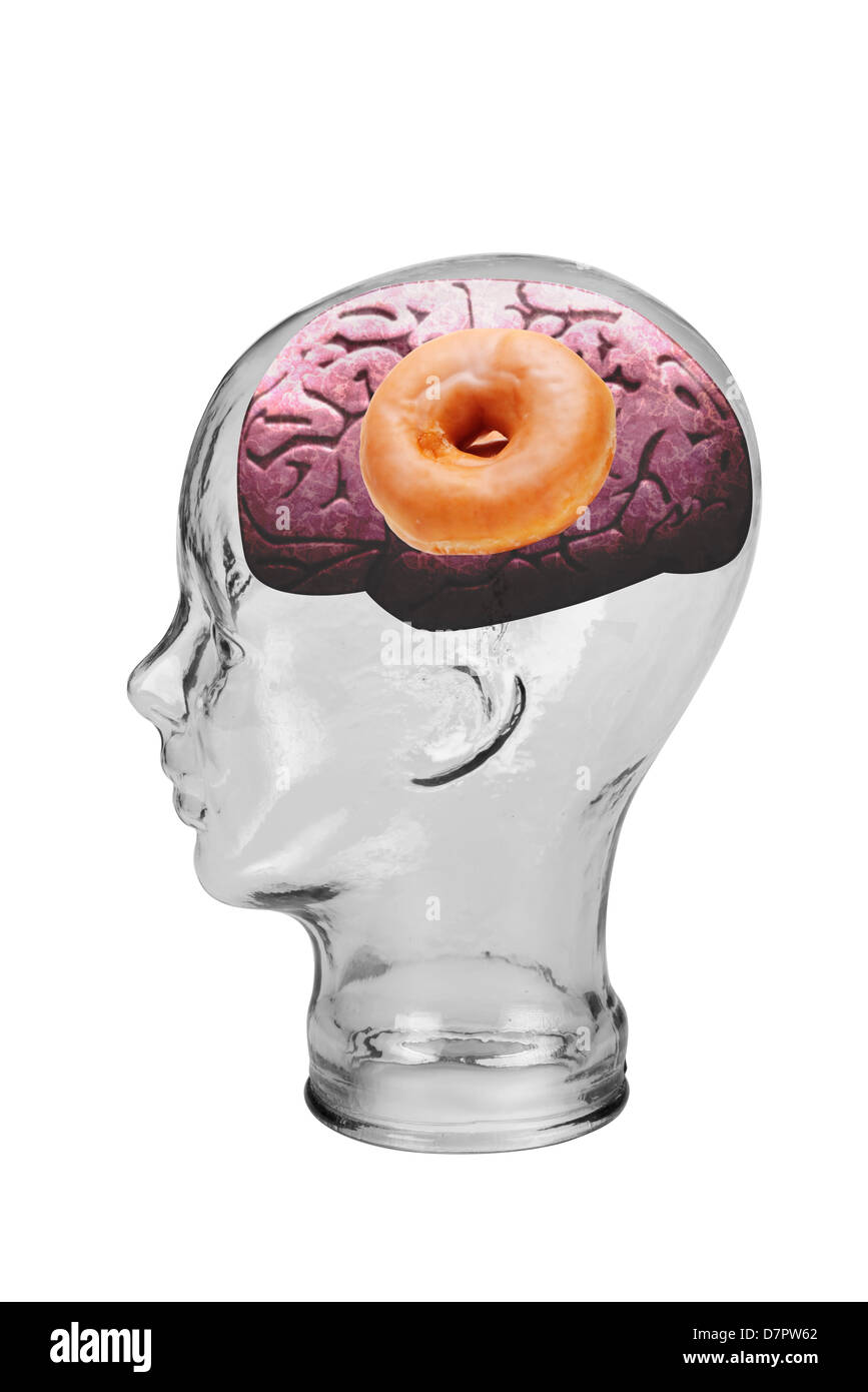 Cross section of the cerebellum hi-res stock photography and images - Alamy