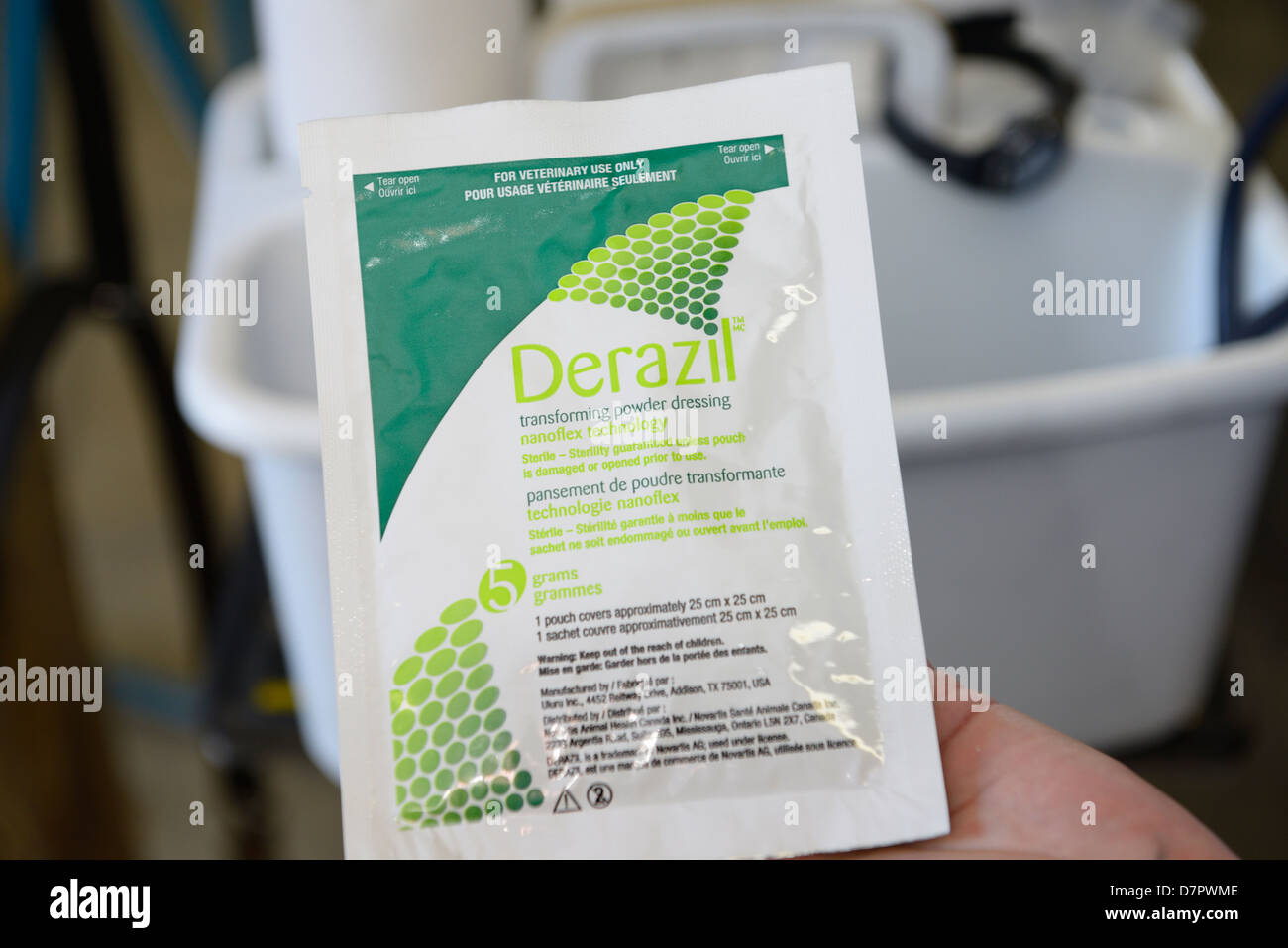 Veterinarian holding a package of Derazil nanoflex powder dressing ...