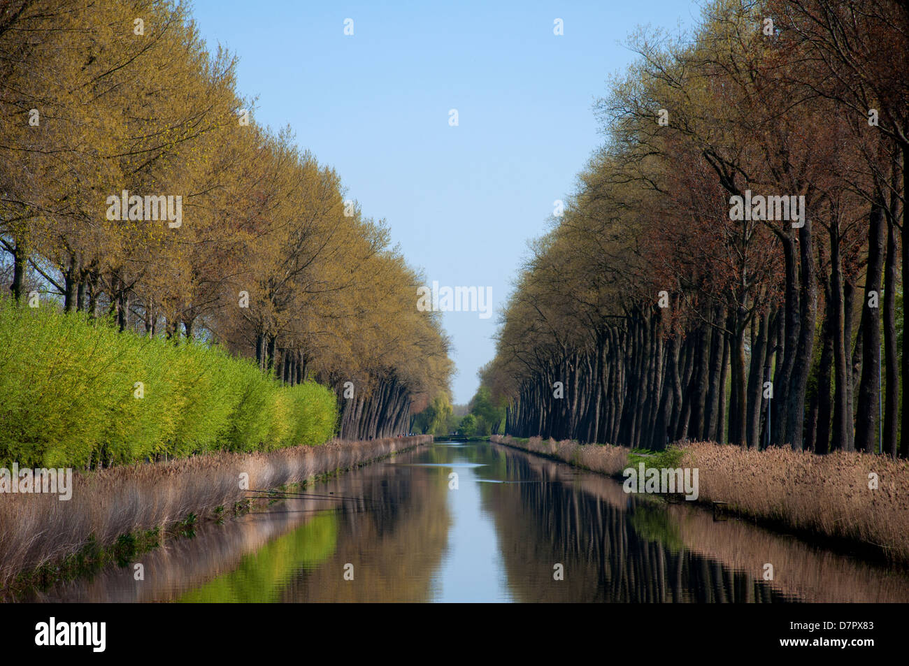 Damme canal bruges hi-res stock photography and images - Alamy