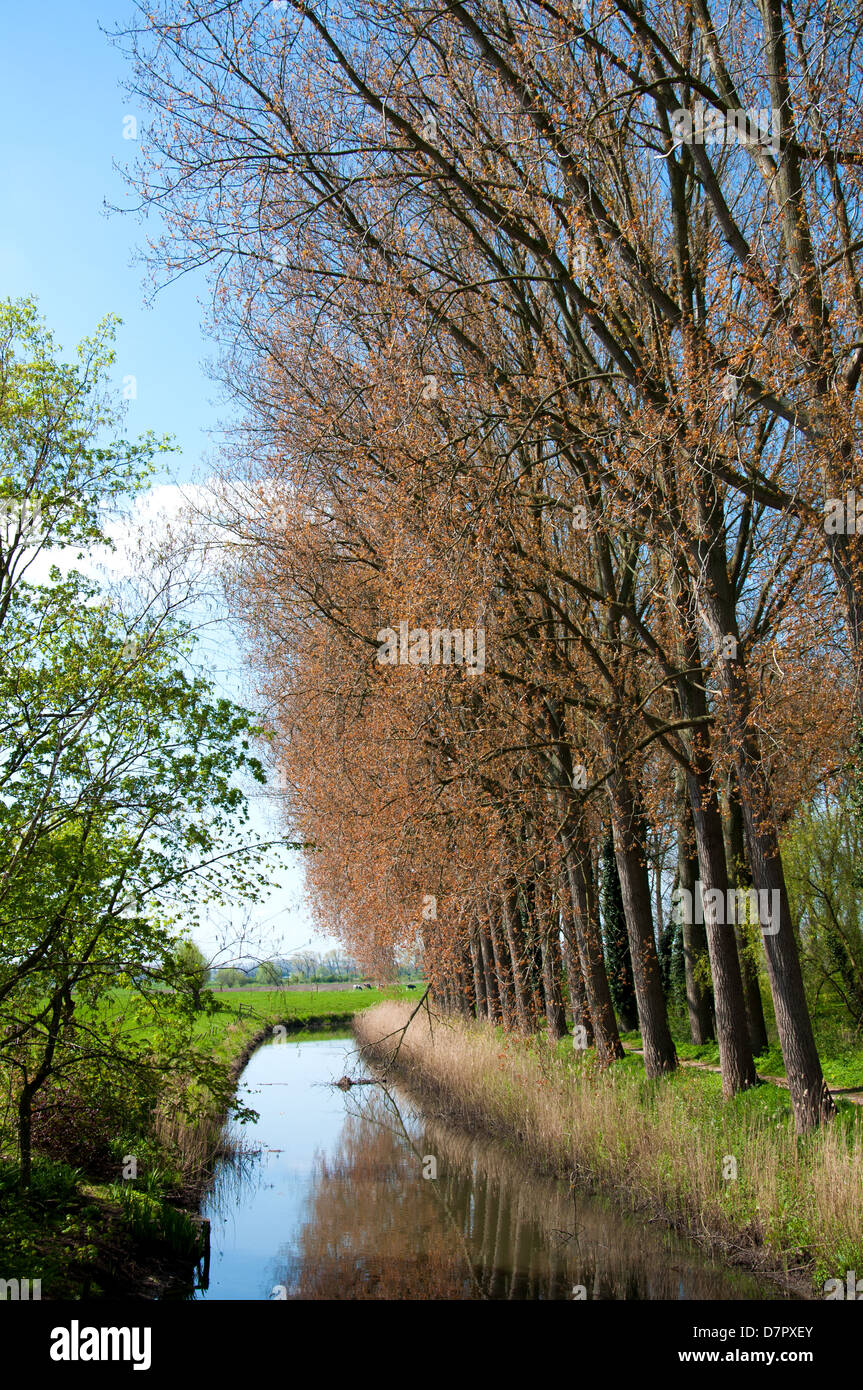 Damme canal bruges hi-res stock photography and images - Alamy