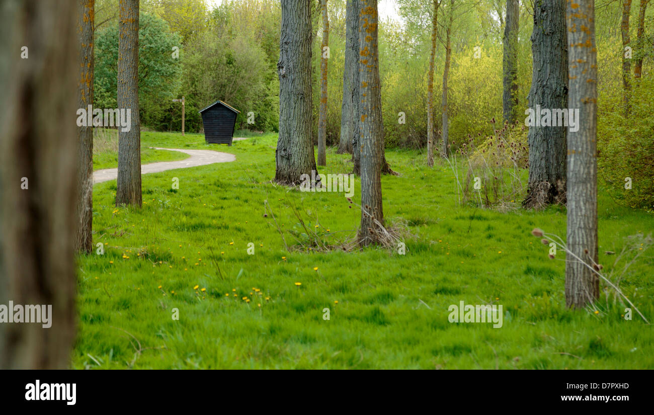 Ferry meadows country park hi-res stock photography and images - Alamy
