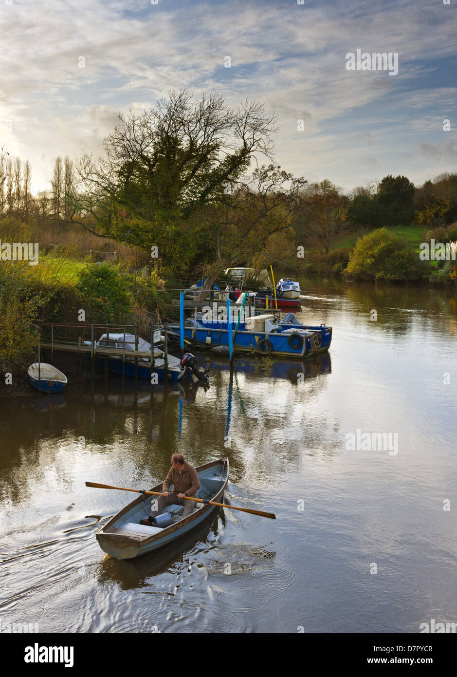 A man rowing a boat on the river Frome, Wareham, Dorset, England Stock ...