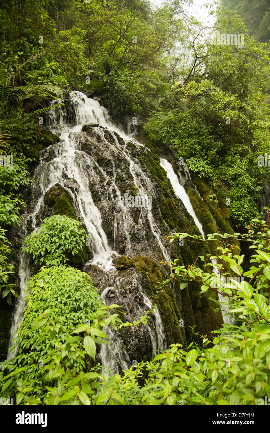 Tribes of the Three Gorges tour, Xiling, China Stock Photo - Alamy