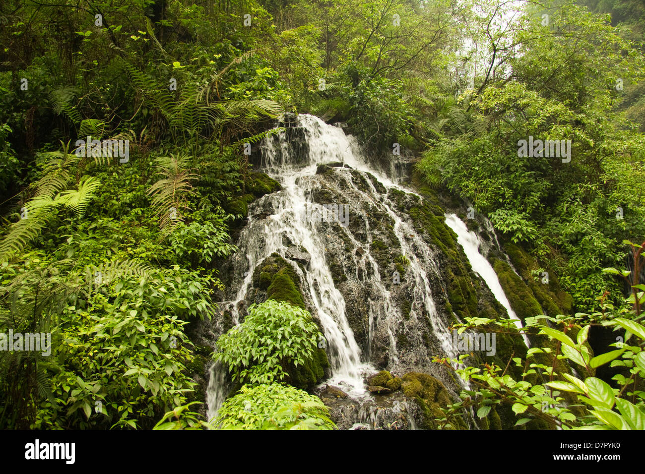 Tribes of the Three Gorges tour, Xiling, China Stock Photo - Alamy