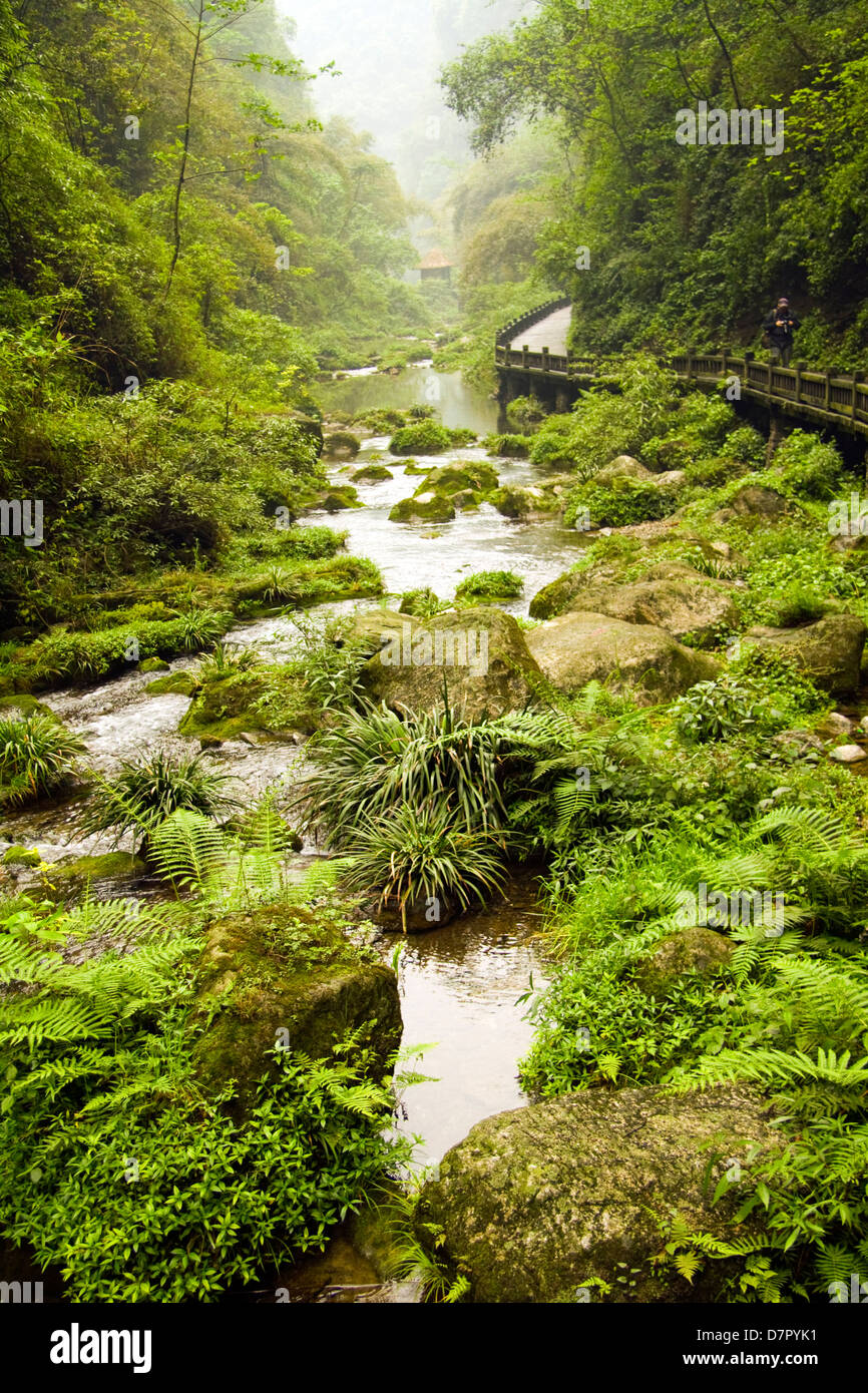 Tribes of the Three Gorges tour, Xiling, China Stock Photo - Alamy
