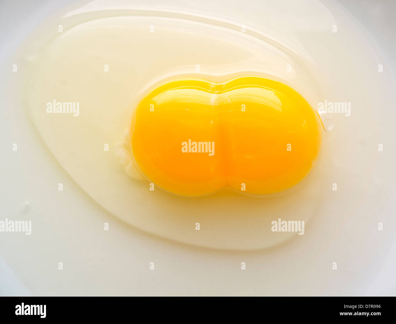 double yolk egg Stock Photo - Alamy