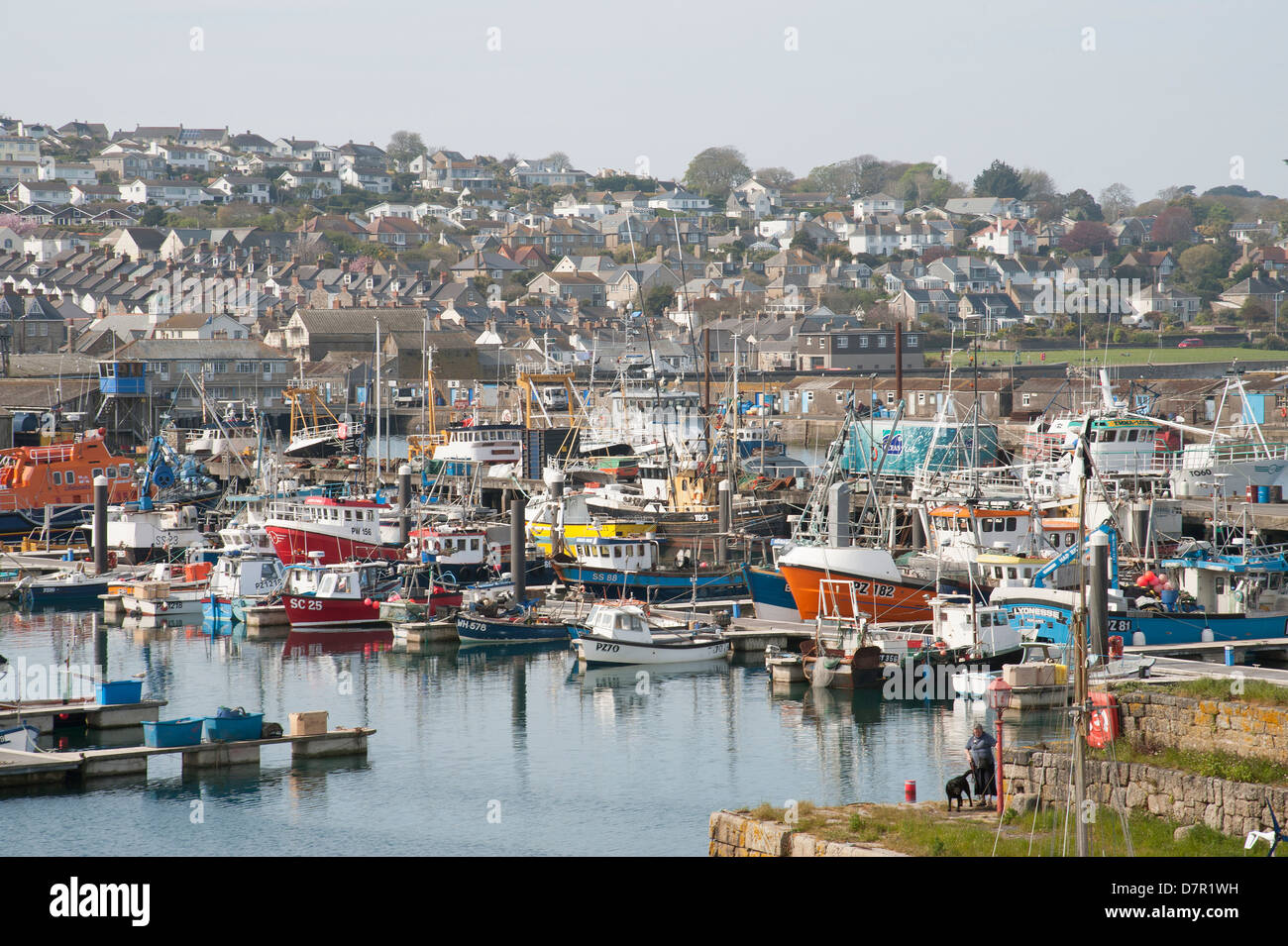Newlyn Cornwall UK fishing boats in the harbour Stock Photo - Alamy