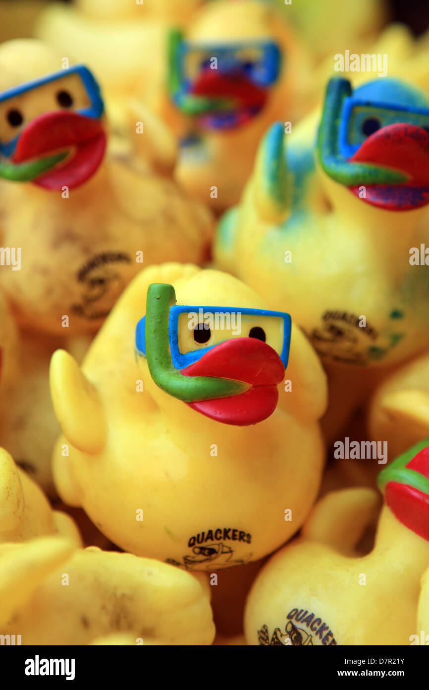 Yellow plastic ducks with snorkels and masks on ready for a charity ...
