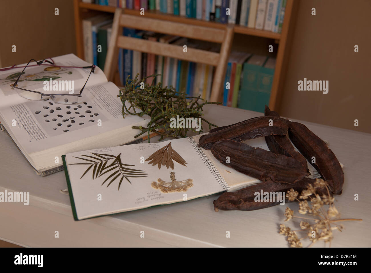 Referance hi-res stock photography and images - Alamy