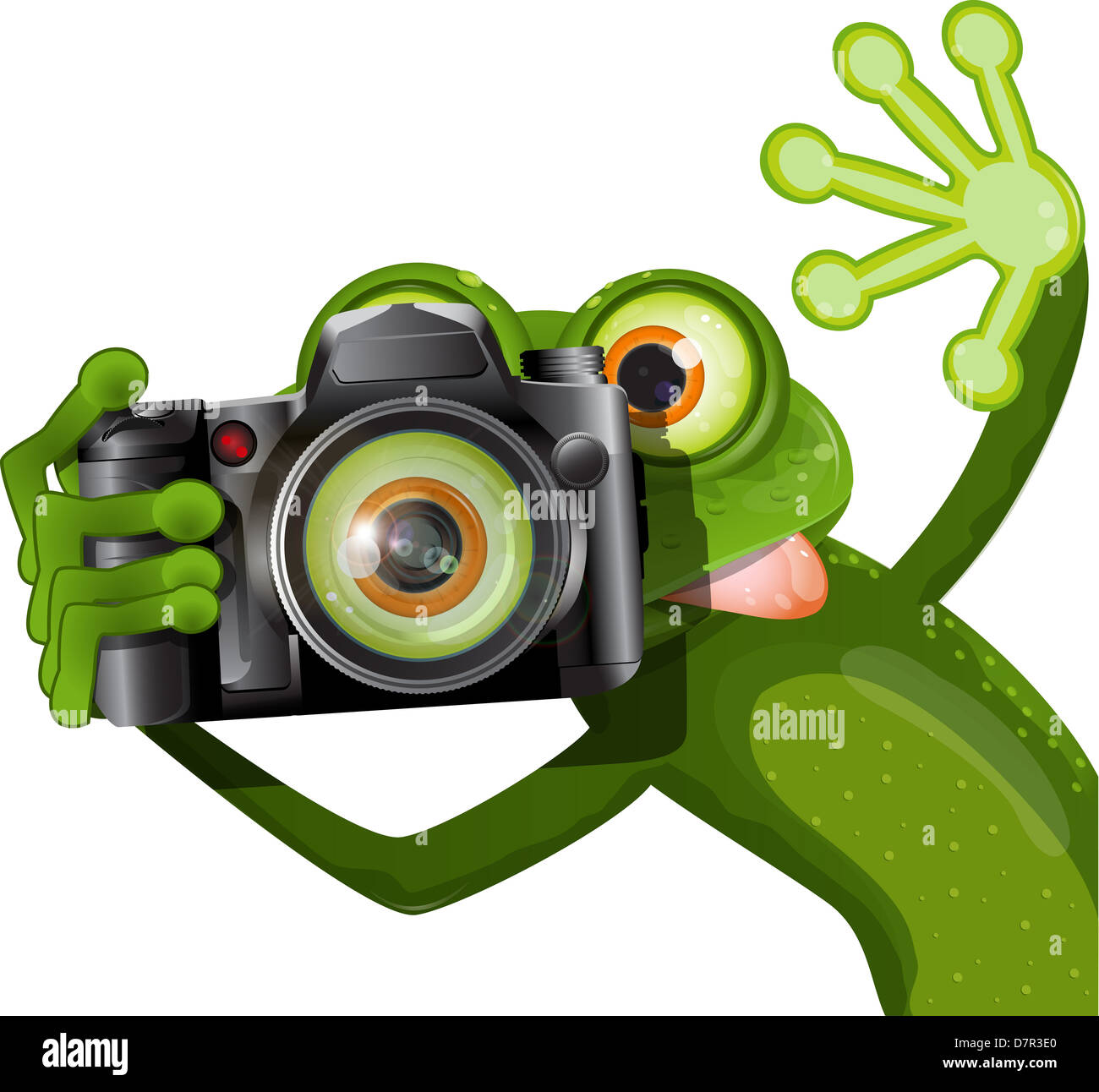 illustration merry green frog with a camera Stock Photo - Alamy
