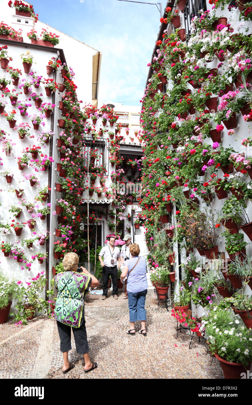 Typical inner courtyard (patio) in Cordoba during the Festival of the ...