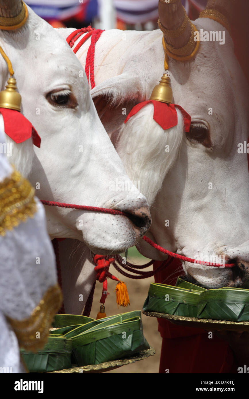 Princess srirasmi hi-res stock photography and images - Alamy