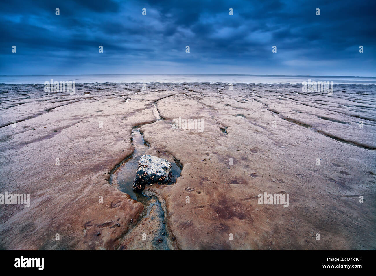 mud on North sea bottom at low tide, Moddergat, the Netherlands Stock ...