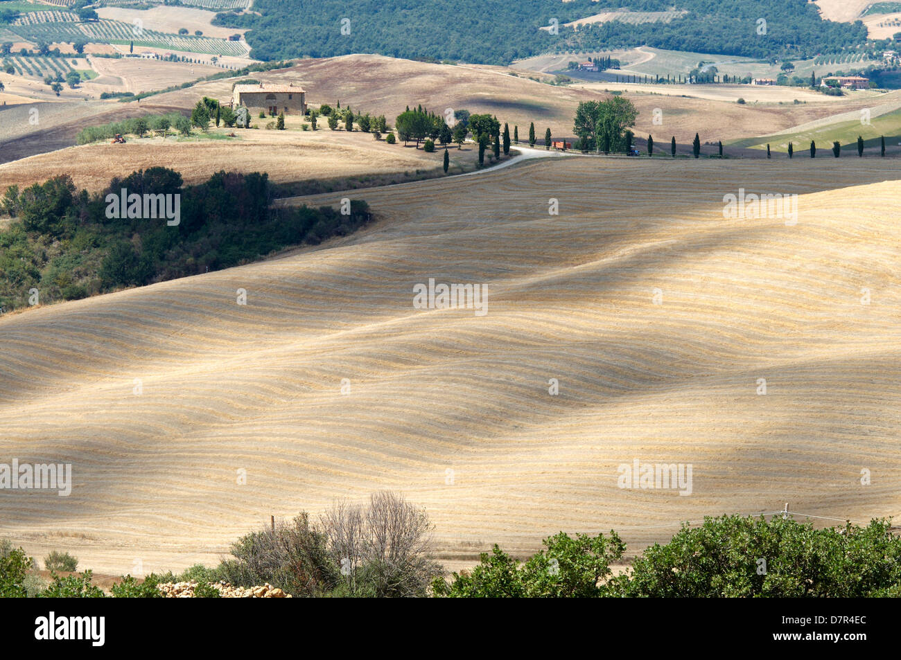 Tuscanian landscape near to Pienza, Tuscany, Italy Stock Photo - Alamy