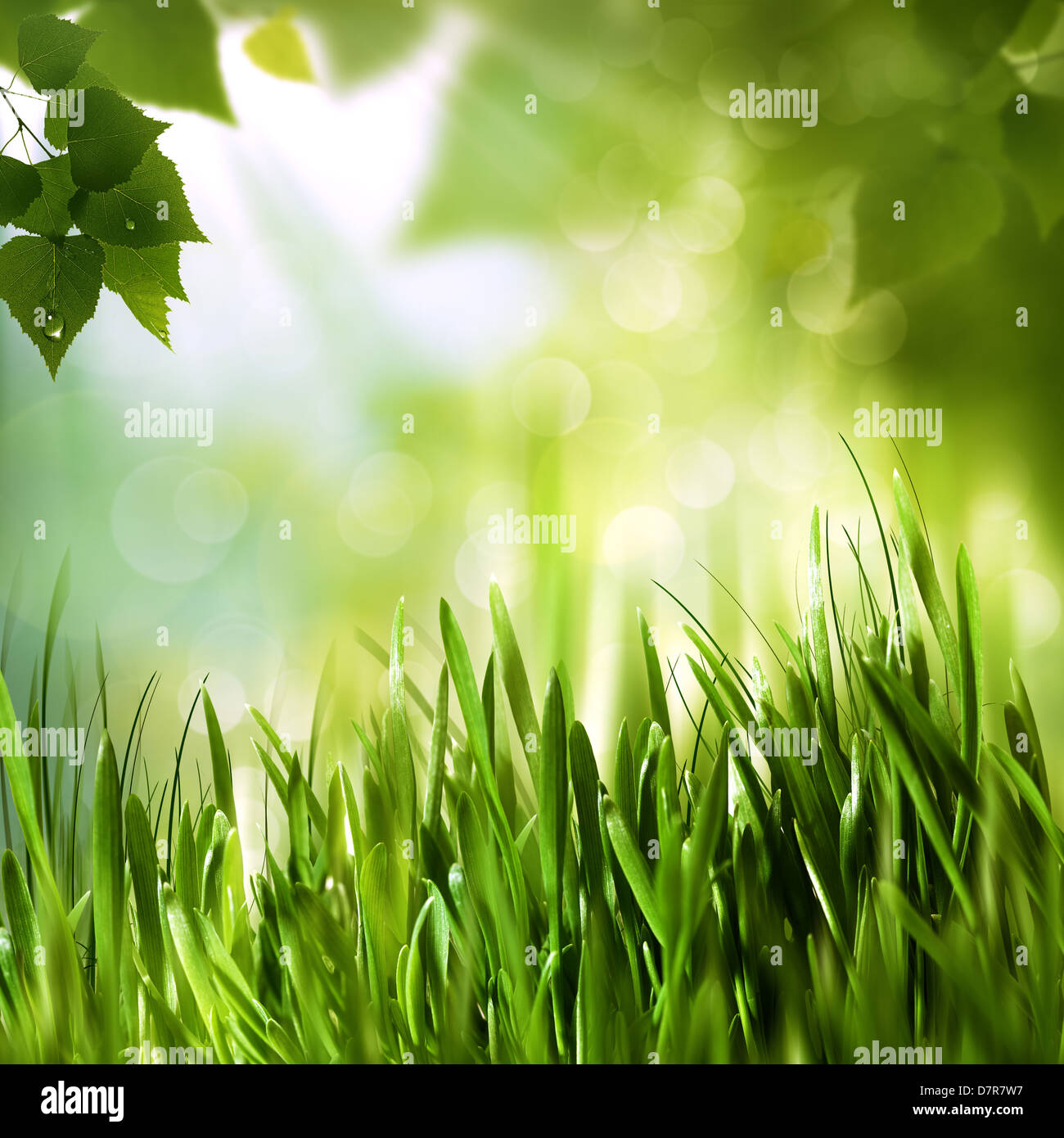 Green world, abstract environmental backgrounds for your design Stock ...
