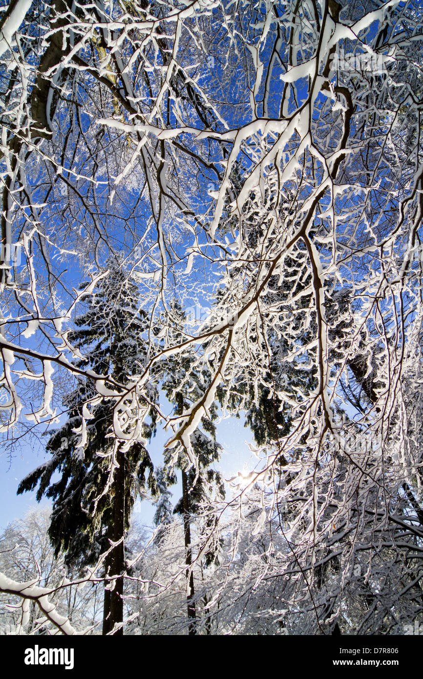 Frosted theme hi-res stock photography and images - Alamy