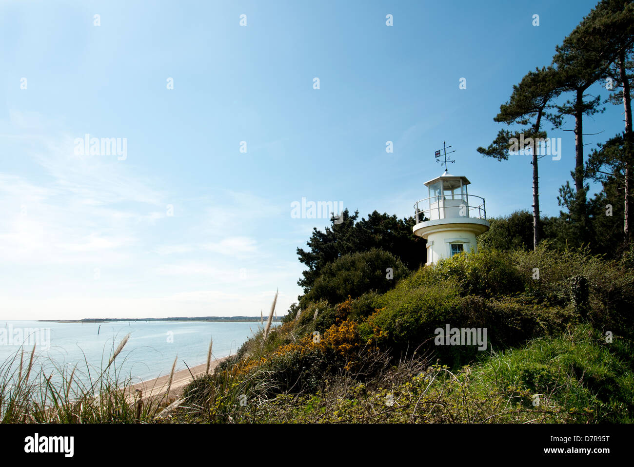 New forest coast hi-res stock photography and images - Alamy