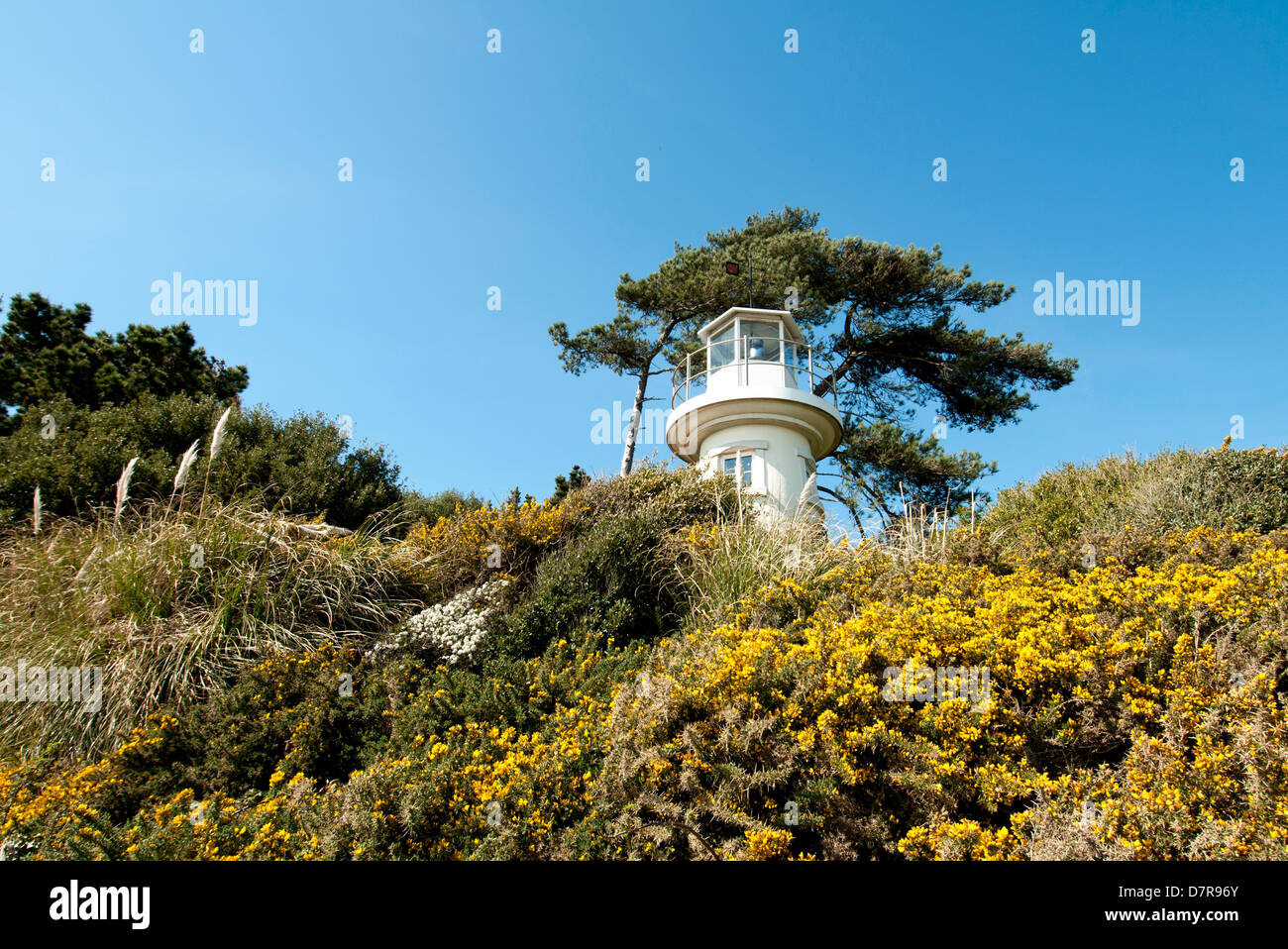 New forest coast hi-res stock photography and images - Alamy
