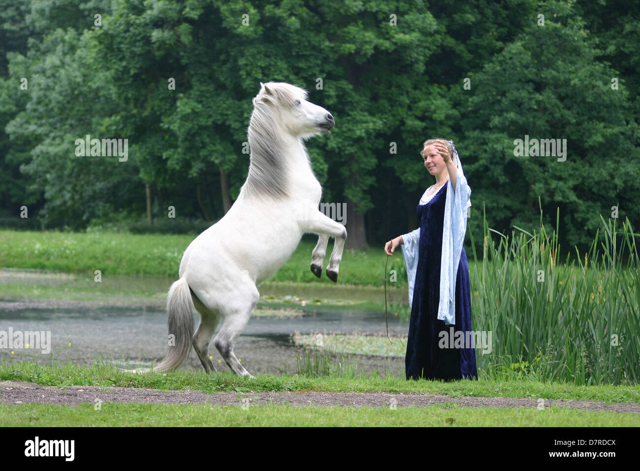 White horse rearing rider hi-res stock photography and images - Alamy