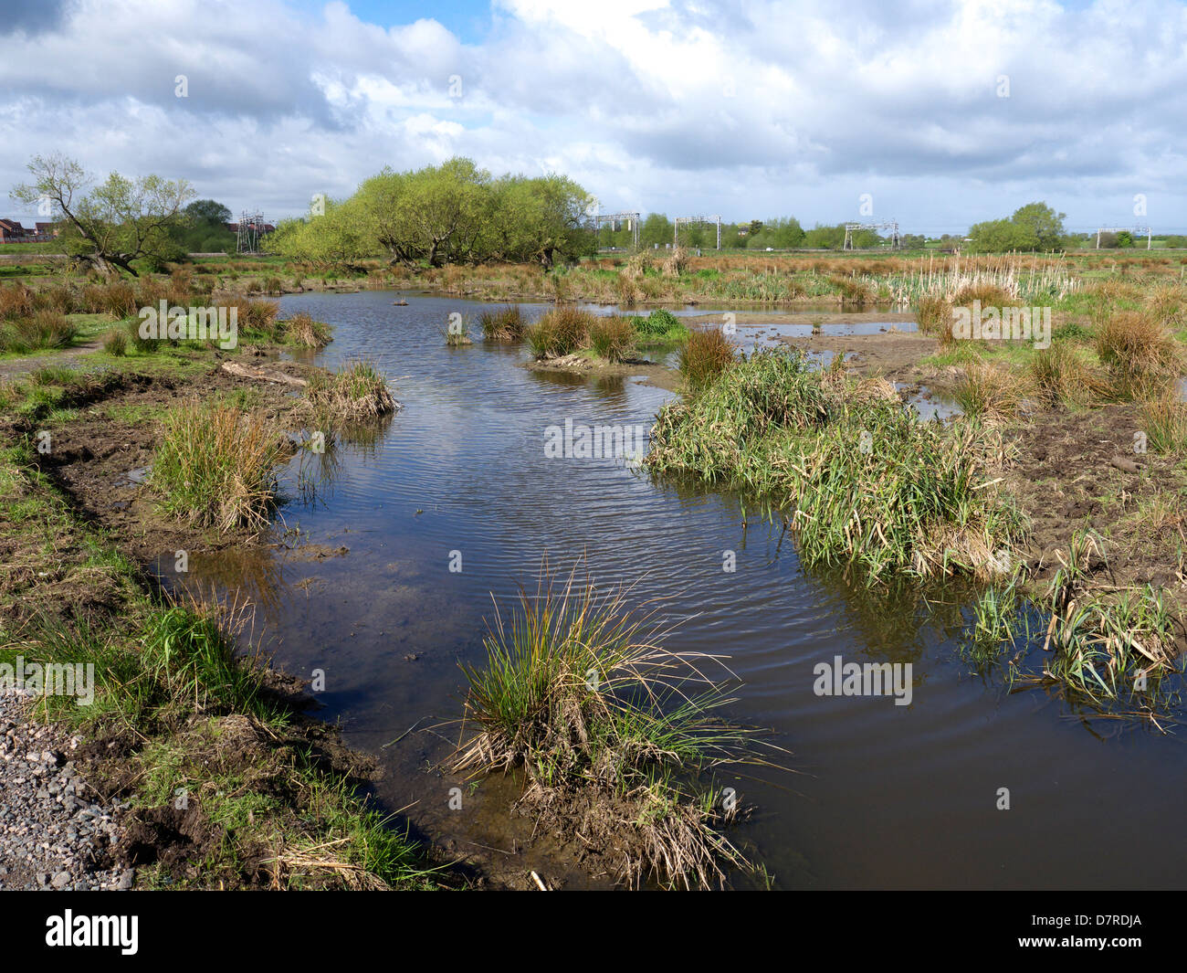 Doxey marshes hi-res stock photography and images - Alamy