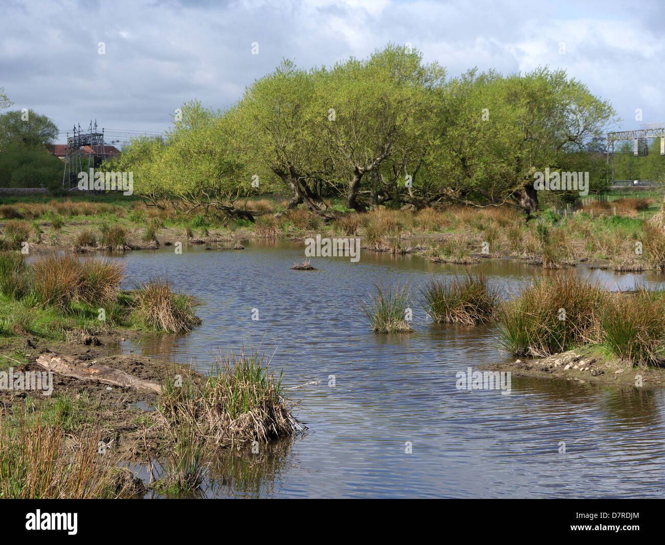 Doxey marshes nature reserve hi-res stock photography and images - Alamy