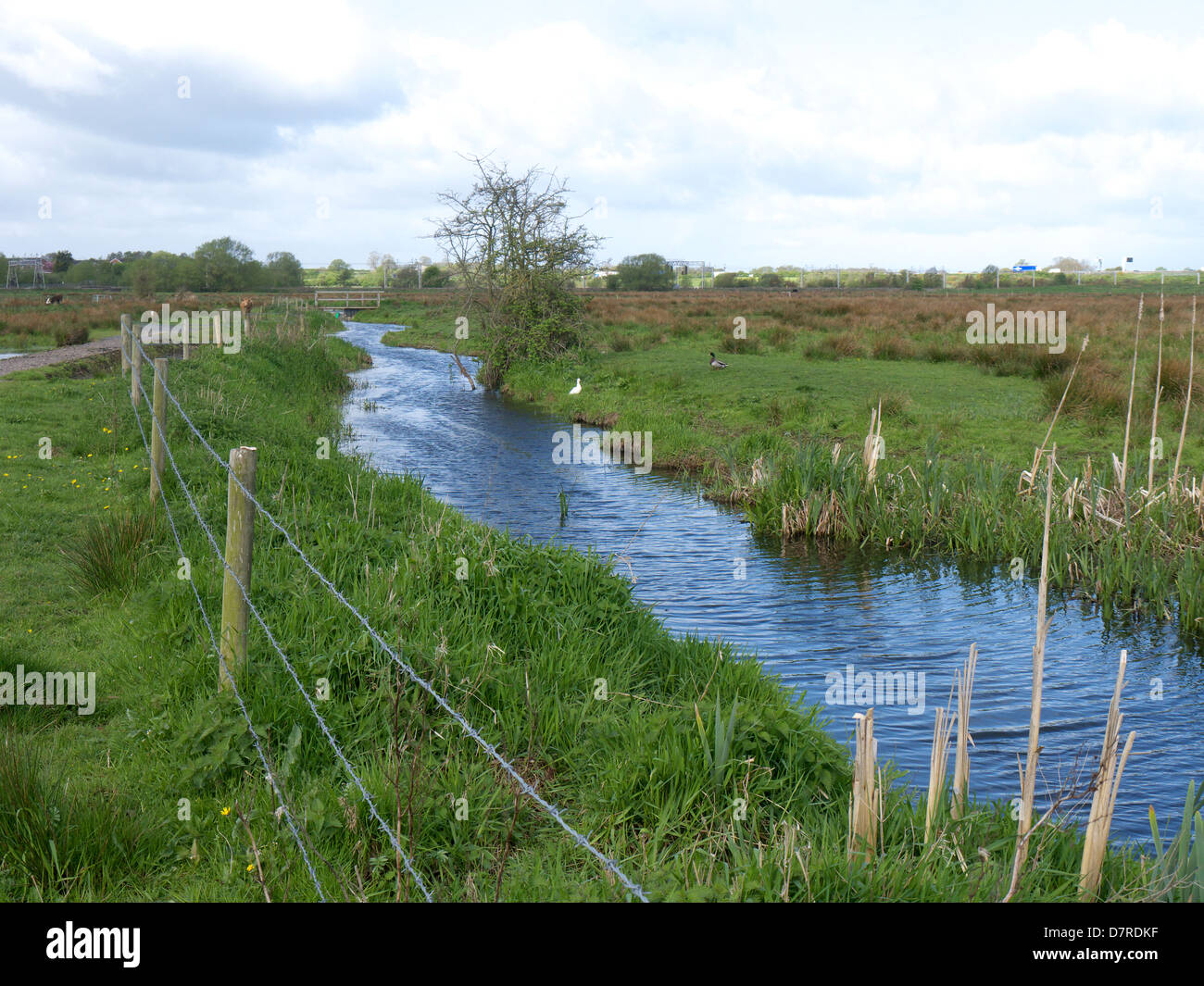 Doxey marshes nature reserve hi-res stock photography and images - Alamy
