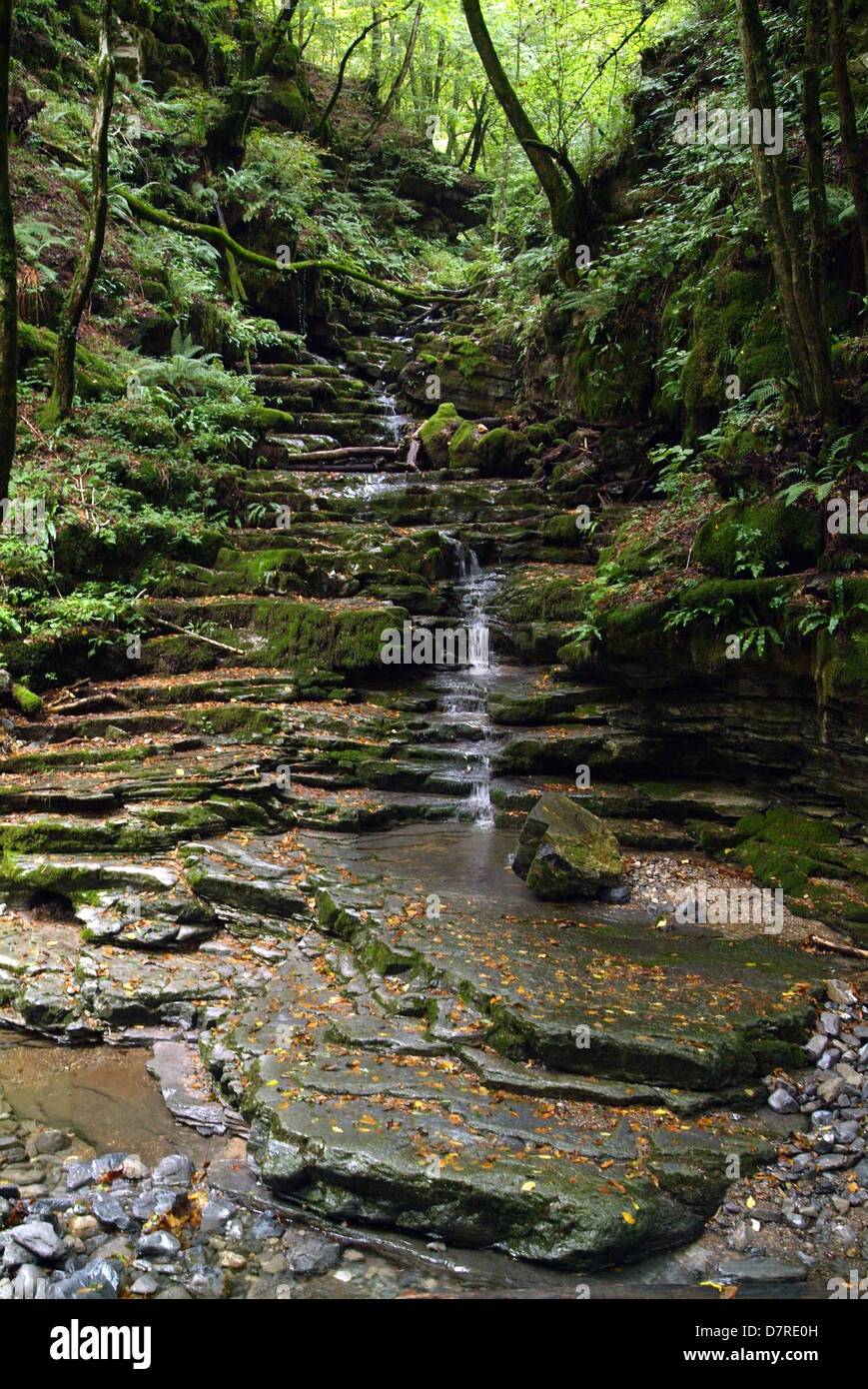 River Breggia on Muggio valley on the italian part of Switzerland Stock ...