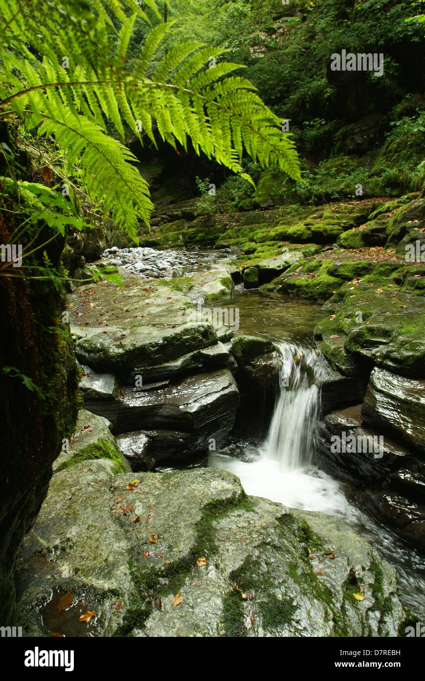 Muggio valley hi-res stock photography and images - Alamy