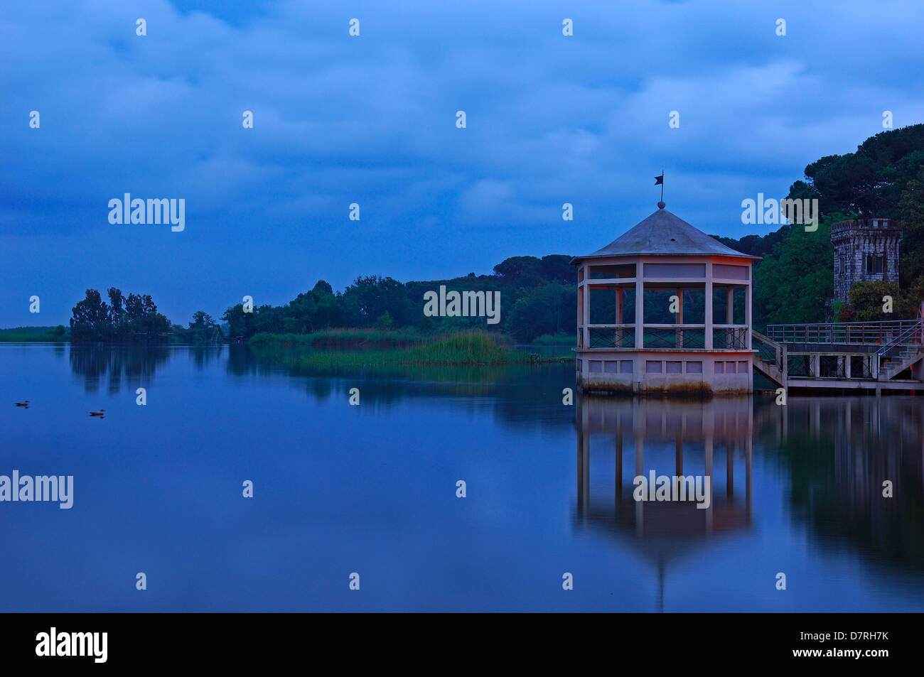 Massaciuccoli Lake, Torre del Lago Puccini, Viareggio, Lucca Province ...