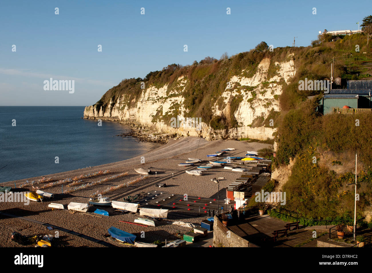 The beach and cliffs, Beer, Devon, England, UK Stock Photo - Alamy