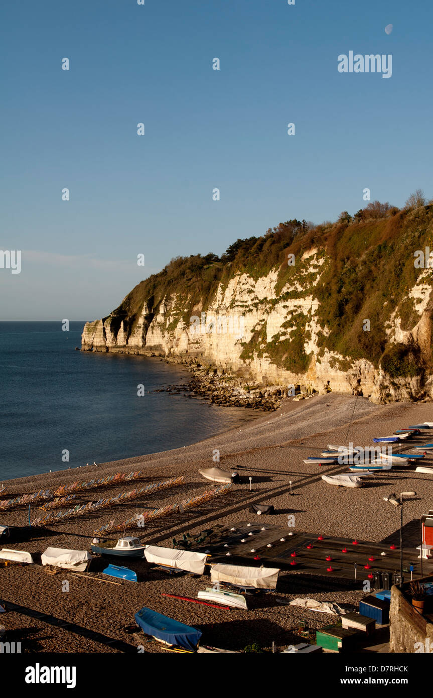 The beach and cliffs, Beer, Devon, England, UK Stock Photo - Alamy