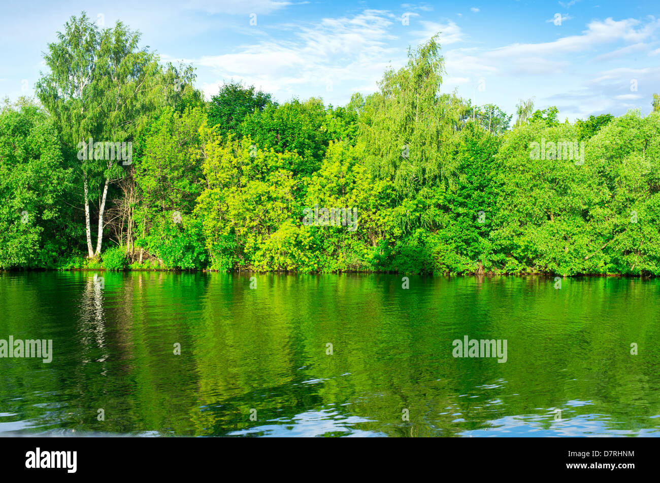 Varied forest hi-res stock photography and images - Alamy