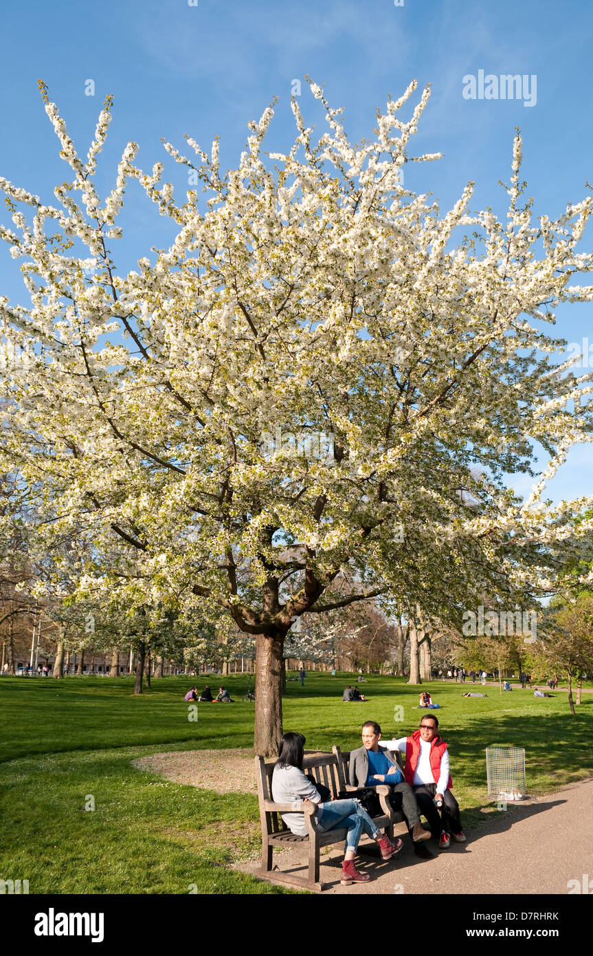 St james’s park spring hi-res stock photography and images - Alamy