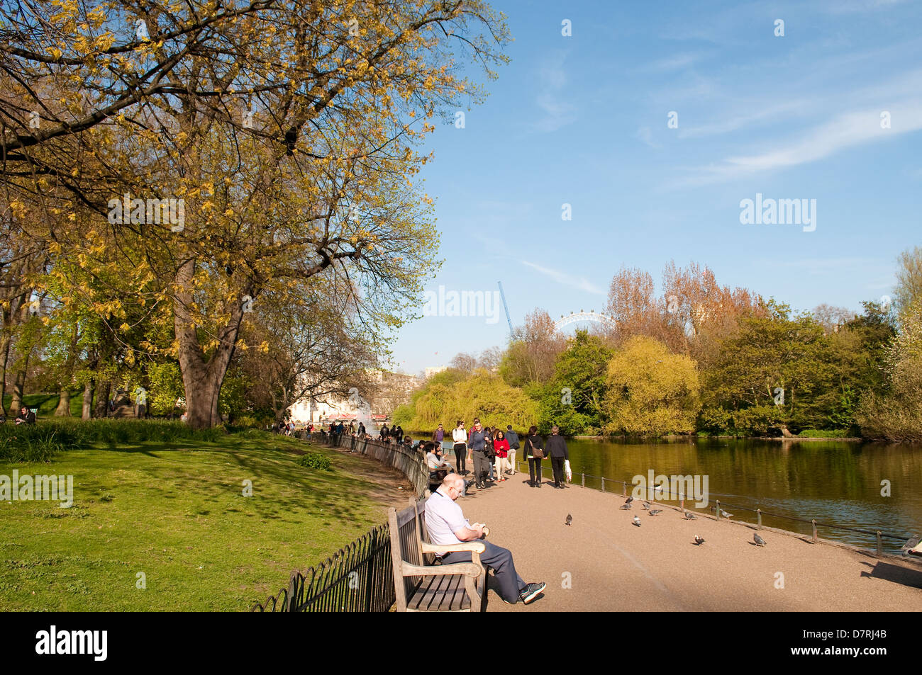 St james’s park spring hi-res stock photography and images - Alamy