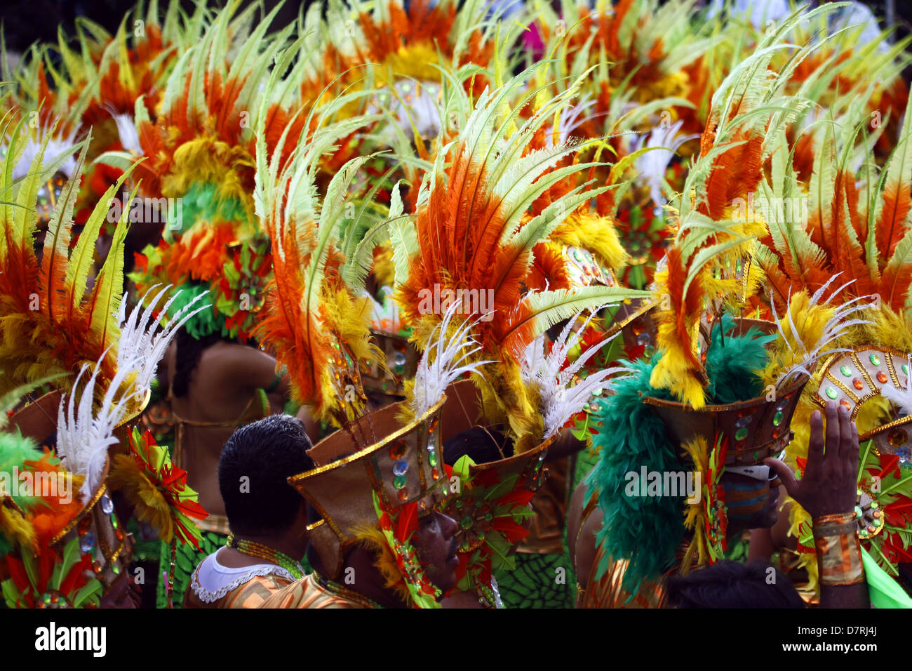 Colorful feather caribbean carnival hi-res stock photography and images ...